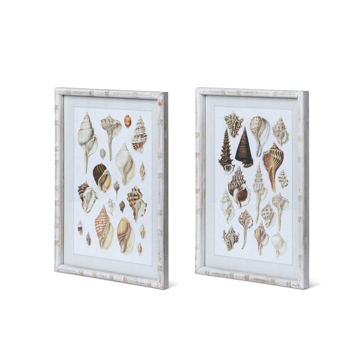 Park Hill Seashell Collection Prints Set/2 – A Colorful Farmhouse